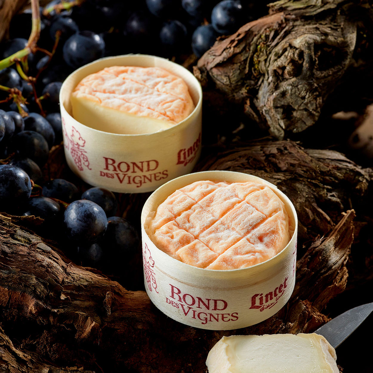 Rond des Vignes - Lincet