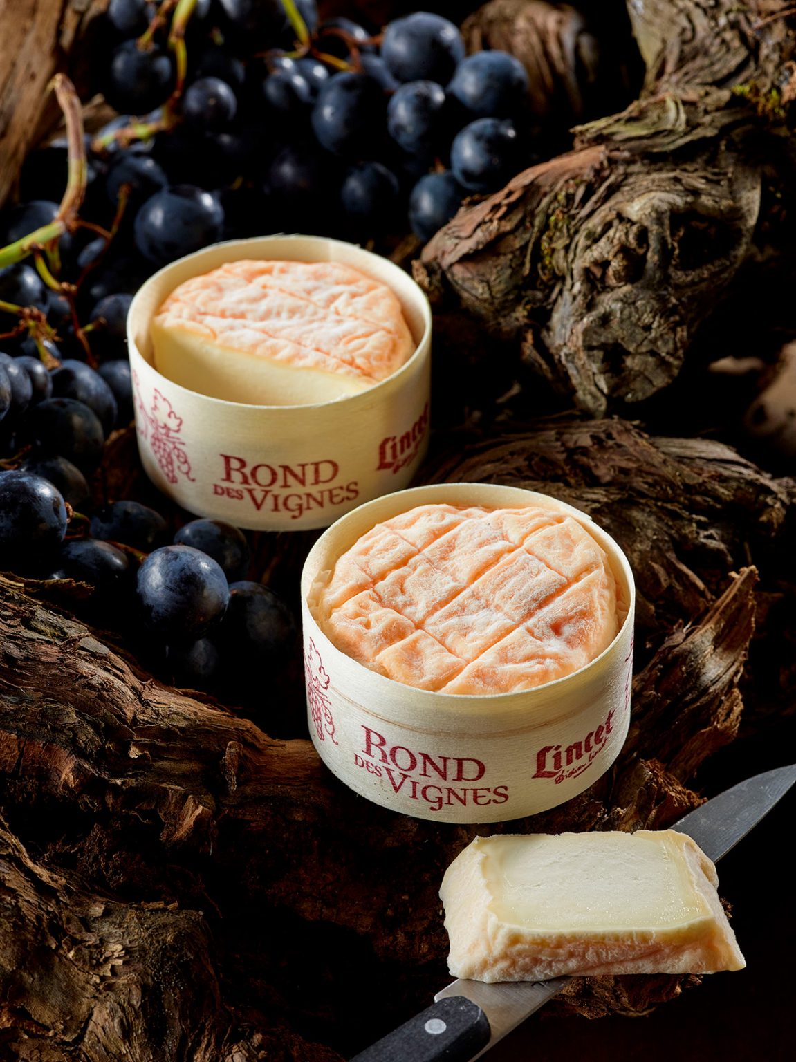 Rond des Vignes - Lincet